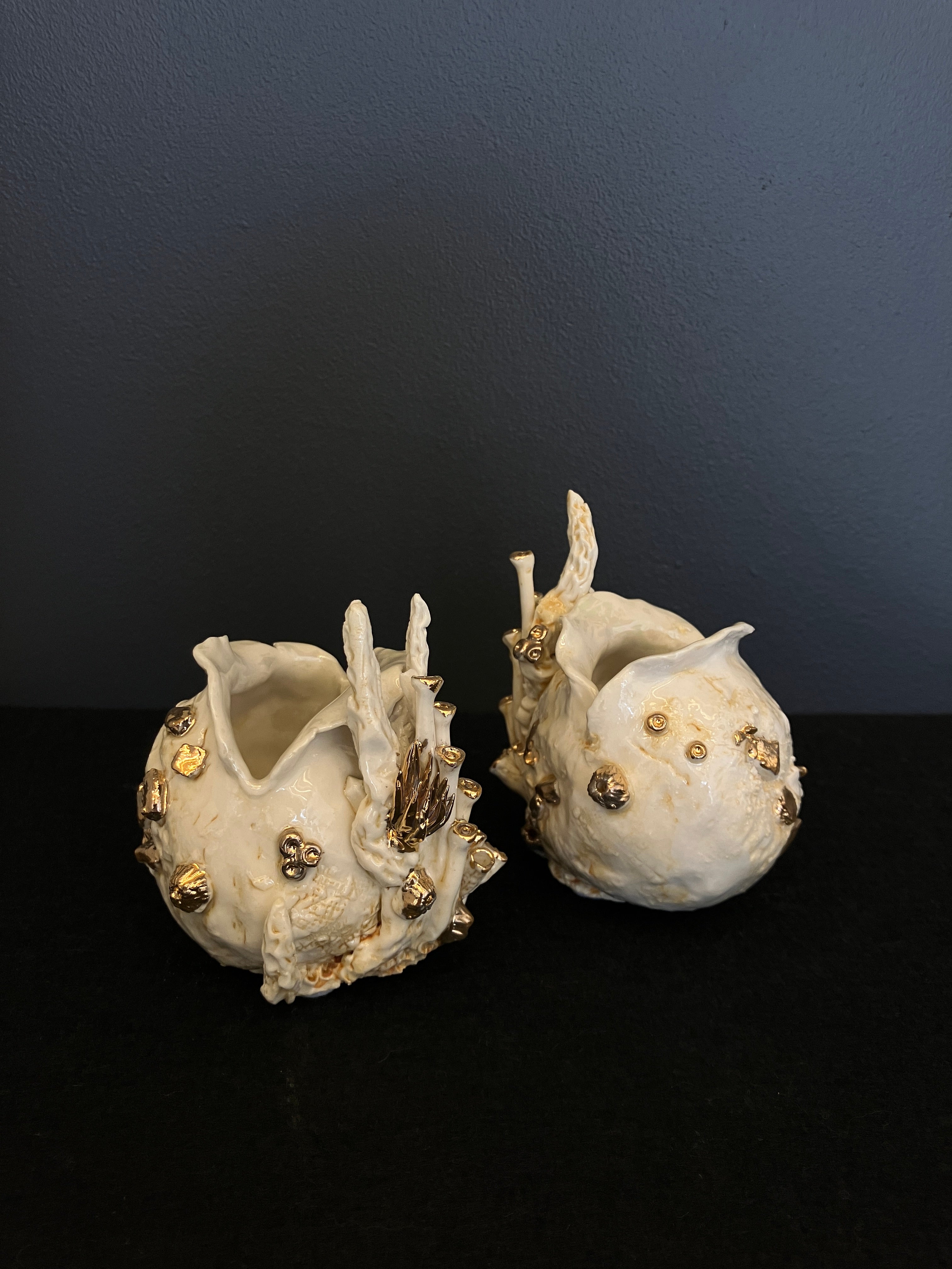 Wayne Looyen: Coral Pods | Design Tasmania